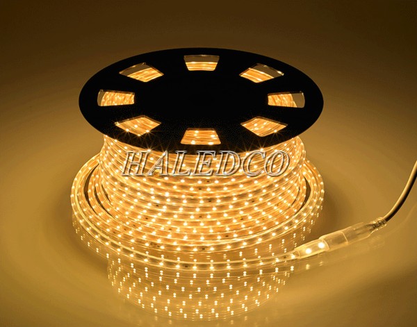 5 loại dây đèn LED vàng phổ biến | SALE từ 10.000 đ/m